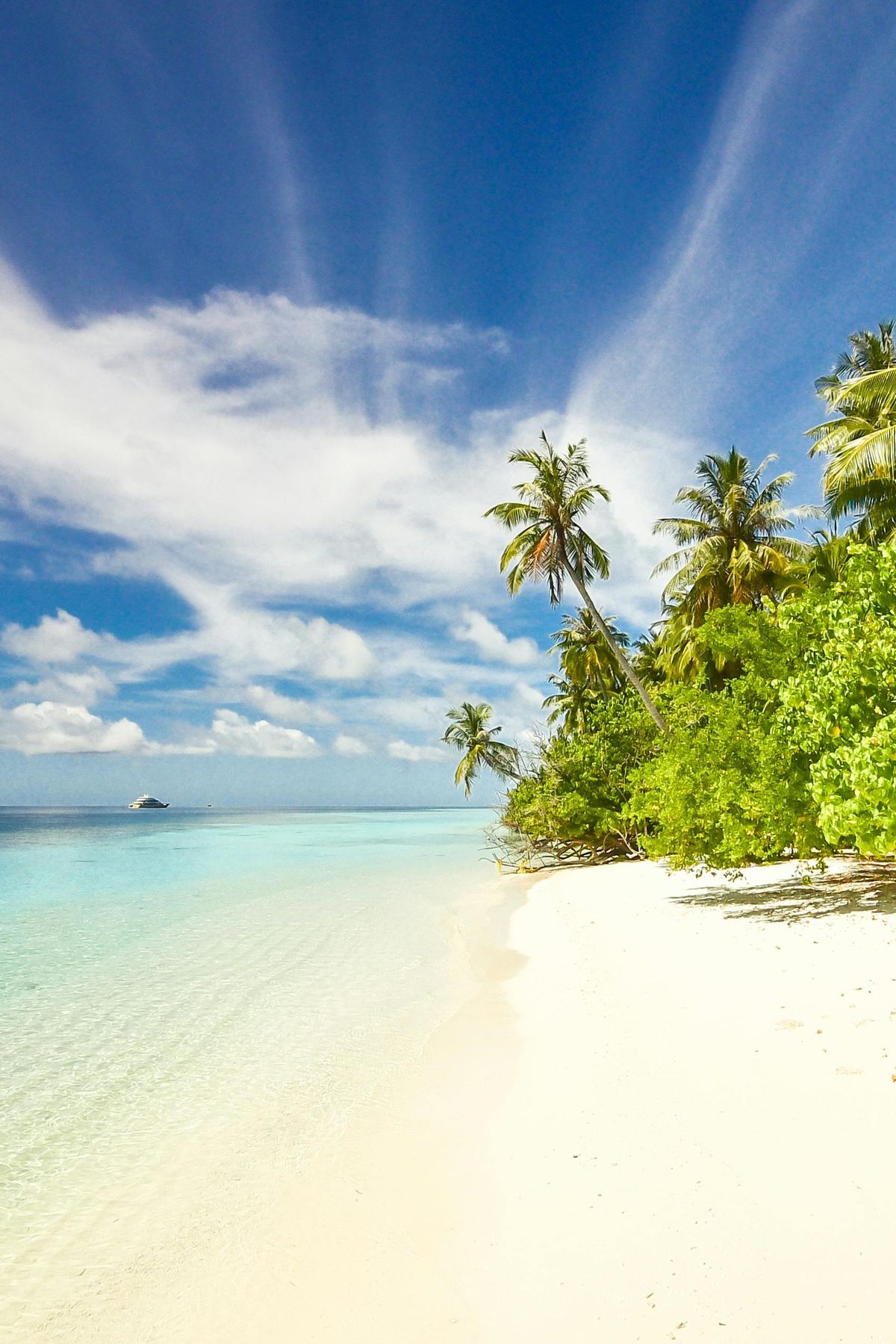 CTI Registration - SLPC